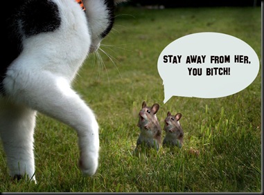 Mickey Mouse in the Laboratory | A Nomadic View